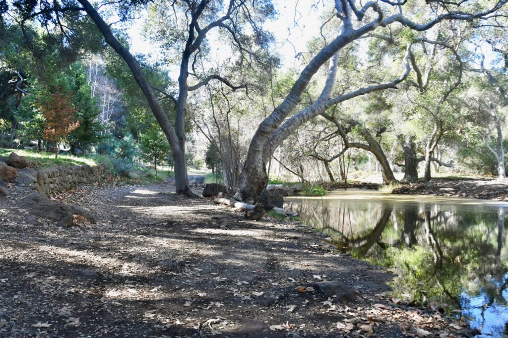 Water Features - Canyon Ranch