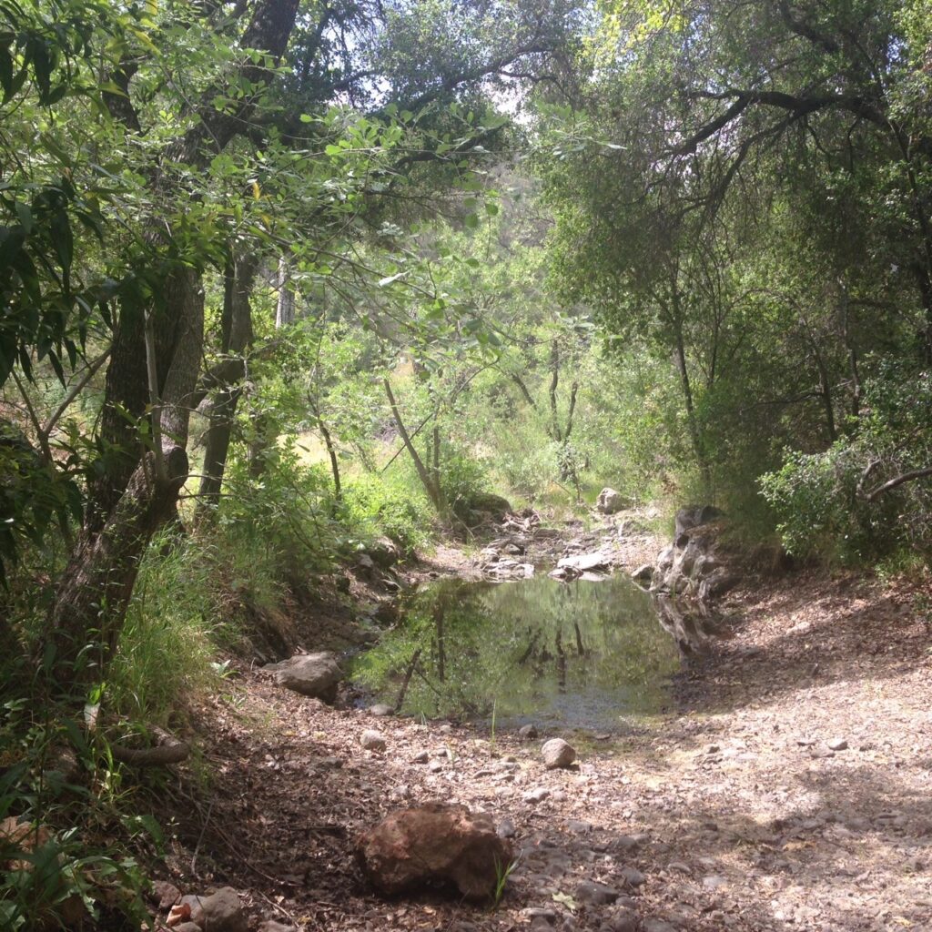 Water Features - Canyon Ranch
