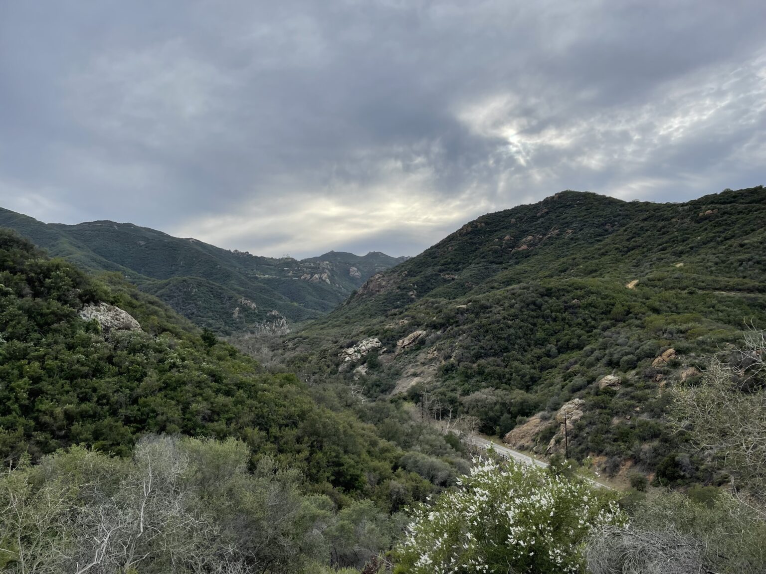 Canyon Ranch Studio - Canyon Ranch